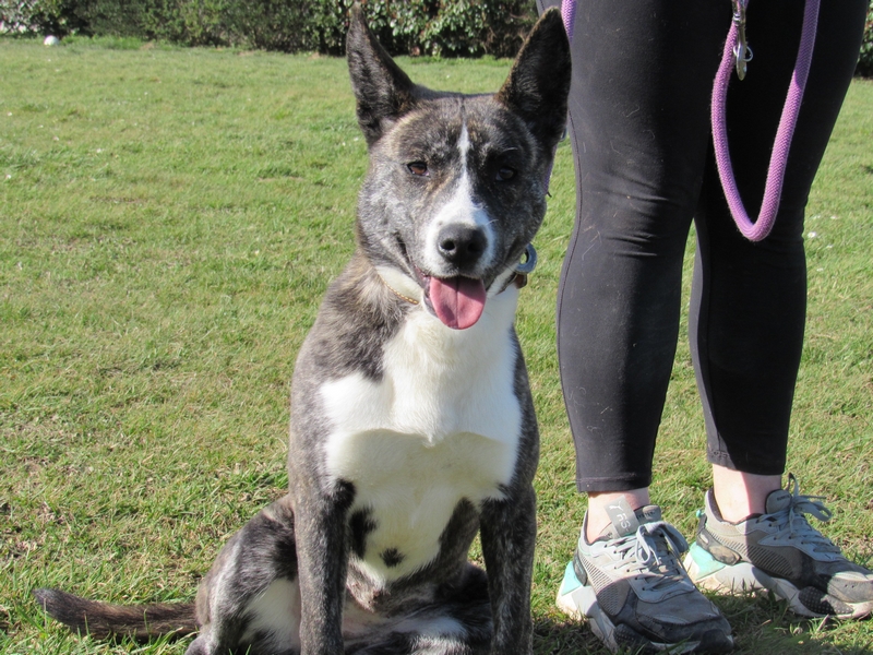 galou – SPA de basse normandie