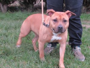 orcanie – SPA de basse normandie