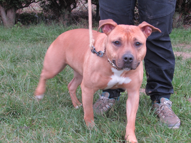 orcanie – SPA de basse normandie